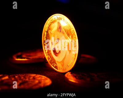 Selective focus shot of a coin with a Shiba Inu dog meme named "Doge ...