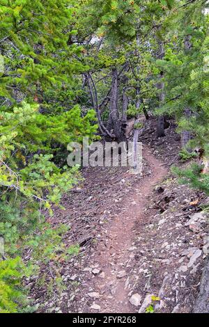 Mount Mahogany nature hiking trail landscape views, foothills of Mt ...