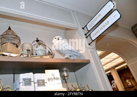 Hedwig Logo