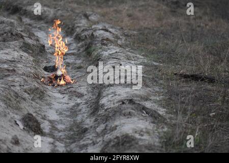 Blazing fire from burning twigs and firewood on the dry field Stock ...