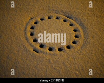 Street lighting manhole cover in Los Angeles. High voltage electricity ...