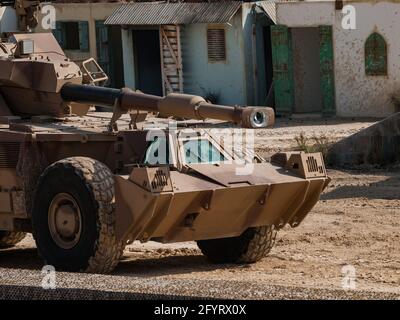 Abu Dhabi, UAE - Feb.20.2013: South African G6 Rhino mine-protected ...