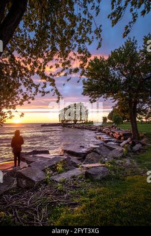 Edgewater State Park Willow Tree Stock Photo - Alamy