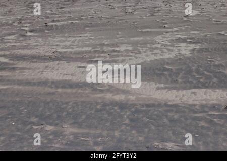 the soft gray sand of a beach - for textures and backgrounds Stock ...