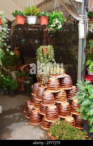 Merchants selling various plants and gardening supplies at the FLORIA ...