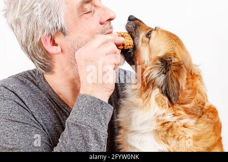 Man feeding his lovely dog with an apple. Meal time Stock Photo - Alamy