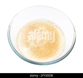 side view of amaranth porridge boiled with coconut milk in glass bowl ...