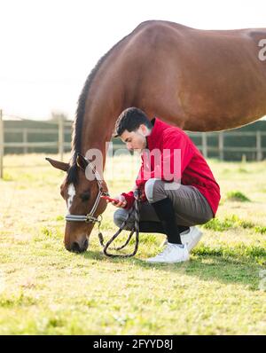 Side view of young male equestrian with dark hair in casual clothes ...