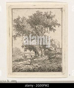 Hiker at Grote Boom Stock Photo - Alamy