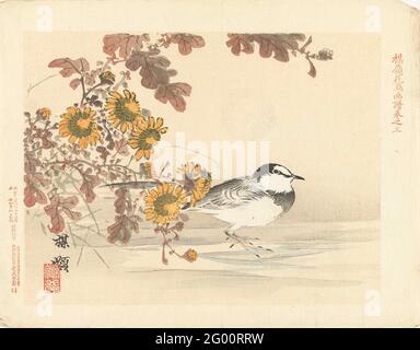 Black-red bird; Flower and bird sketches of Beibun part one; Keibun ...