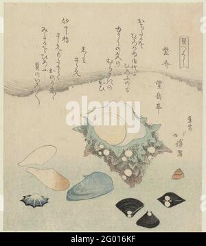 A detailed illustration of two shell specimens, labeled as "Fig. a" and ...