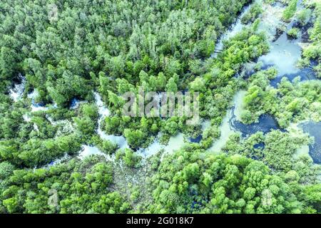 Top aerial panoramic view of green steppe or meadow in summer ...