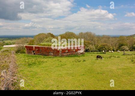 WW2 defensive Pill Box situated just off the South Downs Way at Highden ...