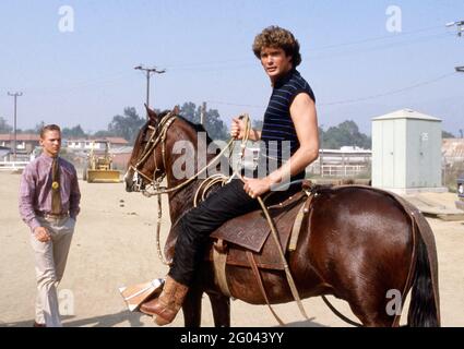 David Hasselhoff Circa 1980's Credit: Ralph Dominguez/MediaPunch Stock ...