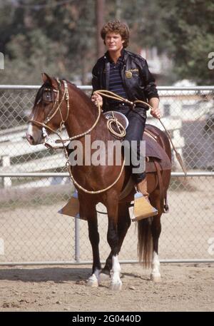 David Hasselhoff Circa 1980's Credit: Ralph Dominguez/MediaPunch Stock ...