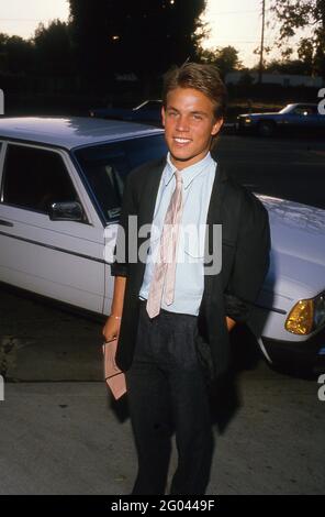 Patrick Petersen Circa 1980's Credit: Ralph Dominguez/MediaPunch Stock ...