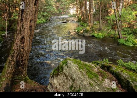 Lawrence Brook in Royalston, Massachusetts which feeds into Tully Lake ...