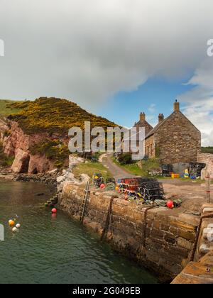 Cove Harbour, Scotland, UK Stock Photo - Alamy