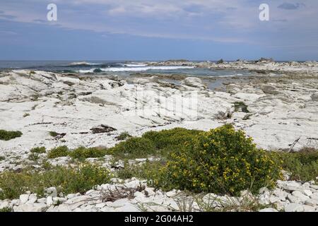 Küste Kaikoura / Kaikoura coast Stock Photo - Alamy