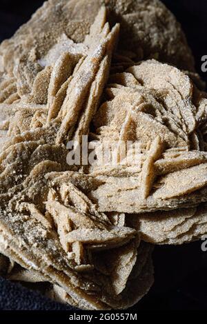 Desert rose, rock rose gypsum crystal cluster on black surface Stock ...