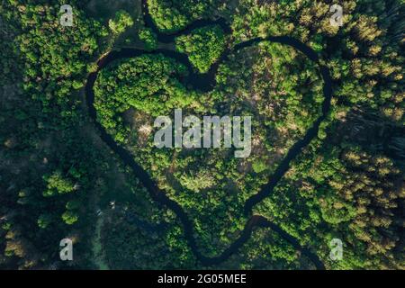 Heart shaped river in Altai territory. Summer june forest. Wonder of ...