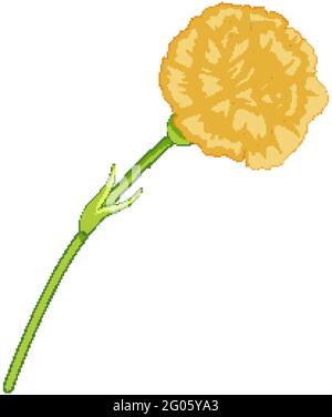 Yellow carnation flower in cartoon style isolated illustration Stock ...