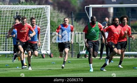 Belgium's Axel Witsel pictured during a soccer game between Belgium's ...