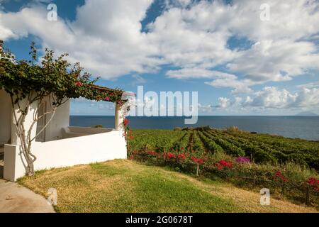 Capofaro resort, villa with sea views and vineyards, Salina island ...