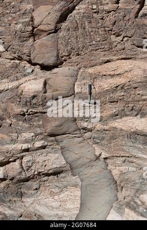 Basaltic dike with chilled margins intruding metamorphic rock (gneiss ...
