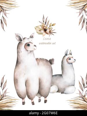 Cartoon lama flat illustrations. Cute llamas alpaca characters smiling ...