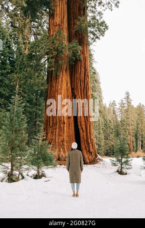 Full length body size view of his he nice attractive sportive cheerful ...