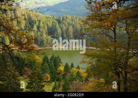 FRANCE, HAUT-RHIN (68), SOULTZEREN, BALLONS DES VOSGES NATURE PARK ...