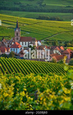 FRANCE, HAUT-RHIN (68), RODERN, VILLAGE AND CHURCH OF RODERN AND IN THE ...