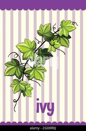 Flashcard alphabet I is for ivy Stock Vector Image & Art - Alamy