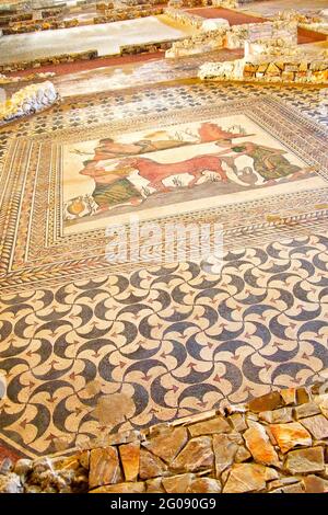 Roman Mosaic, Roman Villa of Almenara Puras, Roman Ruins, Valladolid ...