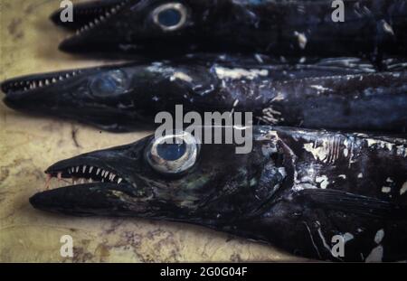 swordfish market, Funchal, Madeira Portugal europe Stock Photo - Alamy