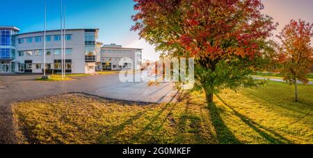 Scenic wide panorama of rising Sun shining through autumn colored rowan ...