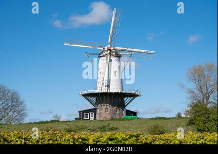 Traditional Dutch windmill used for grain grinding in sunny day Stock ...