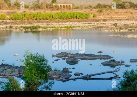 Beautiful Panna river and rocky riverbed at Panna National Park, Madhya ...