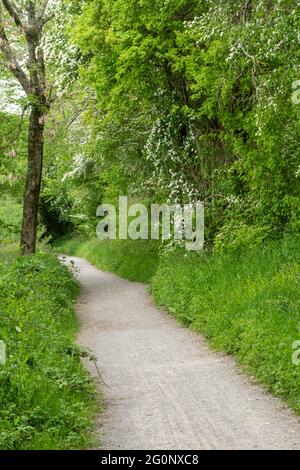 The Meon Valley Trail, a footpath and cycling route along an old ...