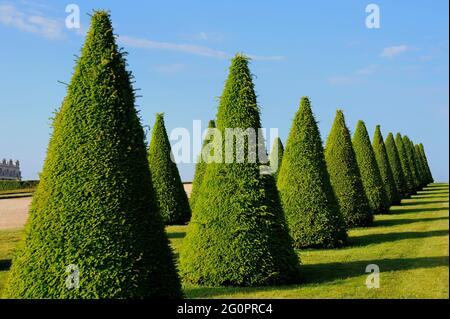 FRANCE, YVELINES (78) DOMAINE DE VERSAILLES Stock Photo - Alamy