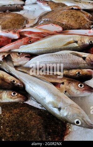 France, Seine-Maritime, fish market of Le Tréport Stock Photo - Alamy