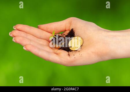 Seedlings grown on a coins stack in female palm Stock Photo - Alamy
