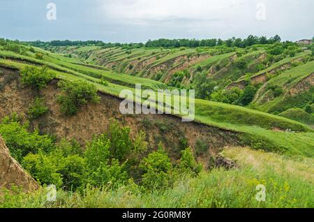 Gully is landform created by running water, eroding fast soil ...