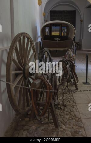 CALATAYUD, SPAIN - May 29, 2021: Its plant, style and distribution is ...