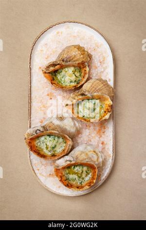 Rapana in shells cooked with ghee. Sea food on a plate Stock Photo - Alamy