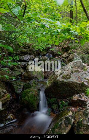 Statte river in the Belgium Ardennes is a small river full of cascades ...