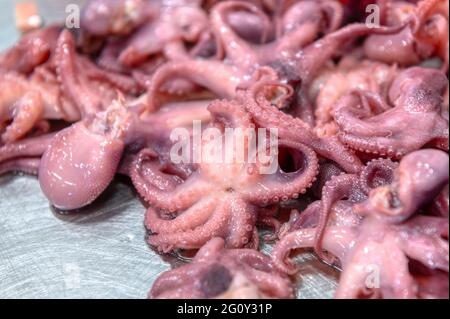 Lots of small canned octopuses. Ingredients for sea salad Stock Photo ...