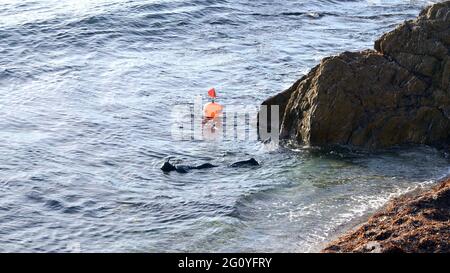 Underwater hunter in action with its floating signaling buoy Stock ...