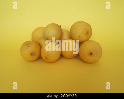 lemon fruits (scientific name Citrus limon) in plastic box over yellow ...